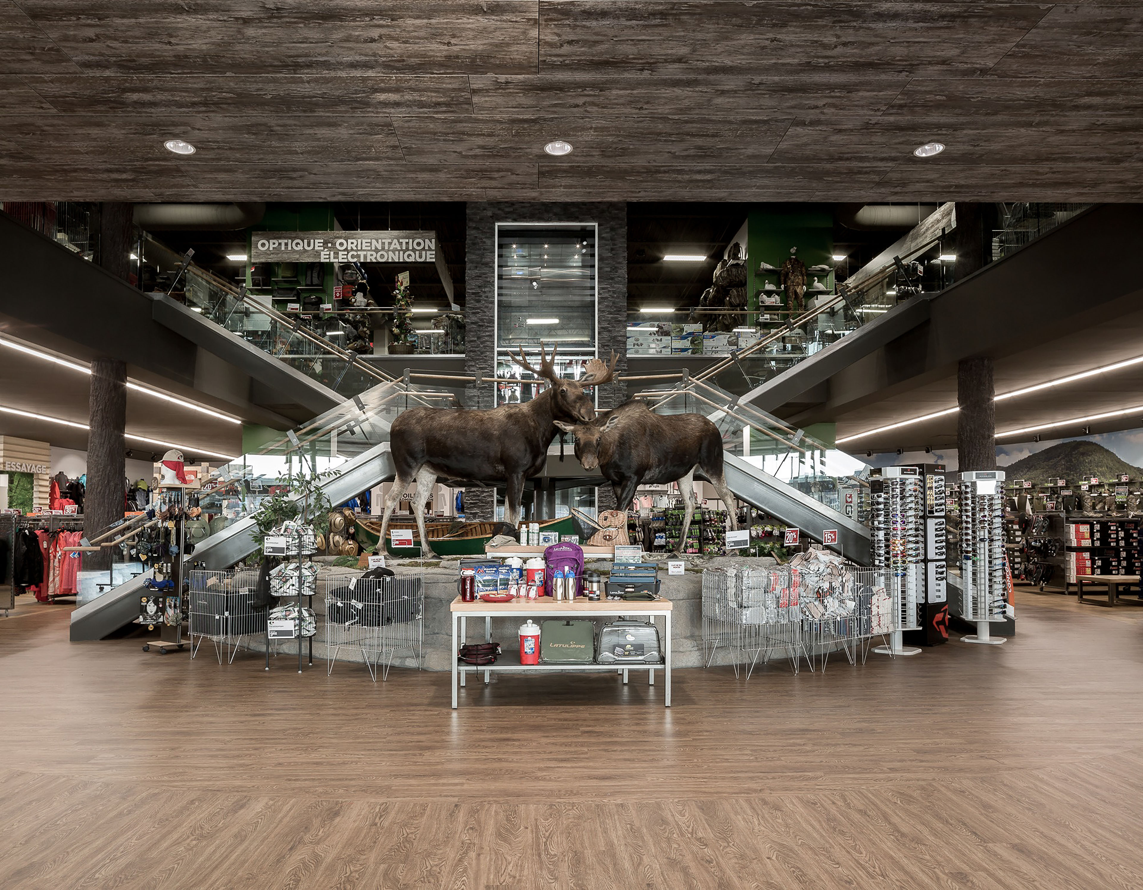 Projet - Solam - Solam